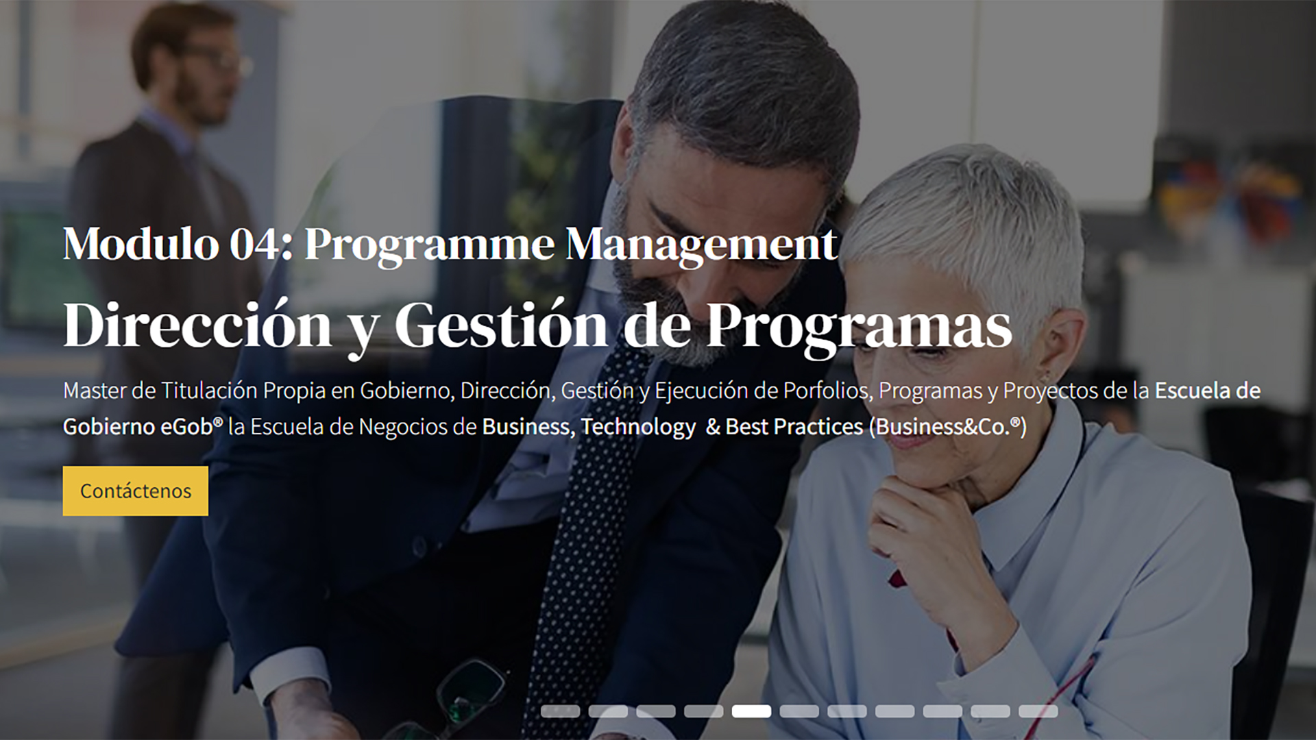 MasterPPM® - Módulo 04: Programme Management